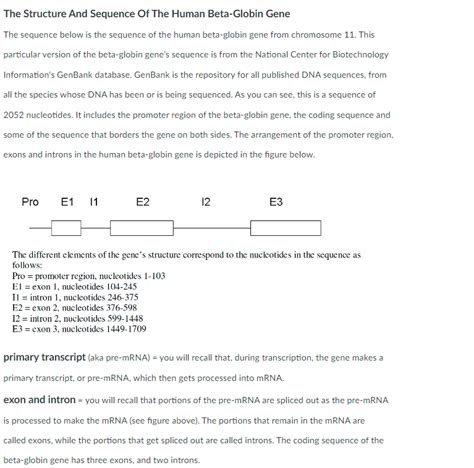Solved The Structure And Sequence Of The Human Beta Globin