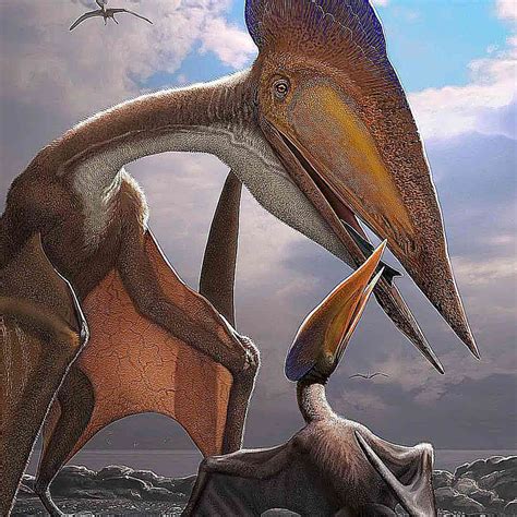 Pterosaur Pictures And Profiles