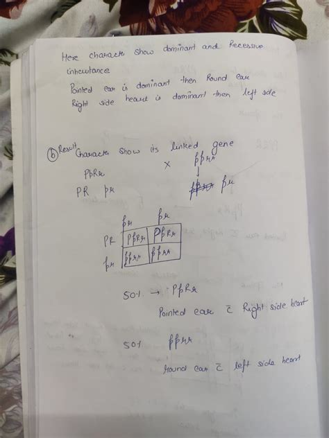 Solved Please Answer These Questions Below Step By Step Or As Detailed As Course Hero