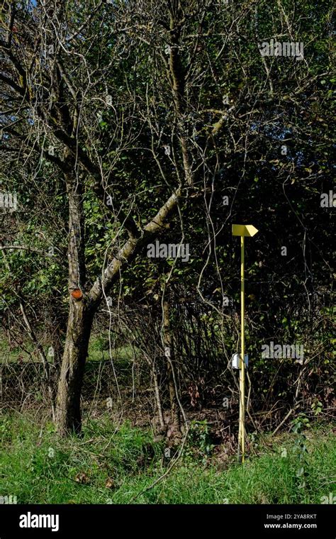 Yellow Roadside Marker Post Rural Village Indicating Pinpointing Location Direction Underground