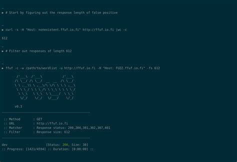 Offensive Security Tool FFUF Black Hat Ethical Hacking