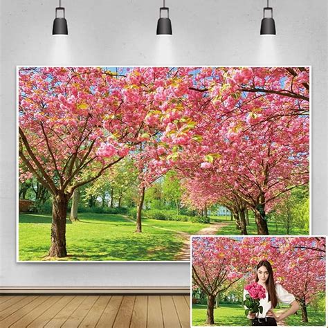 Spring Cherry Blossom Backdrop Spring Natural Landscape Sunshine