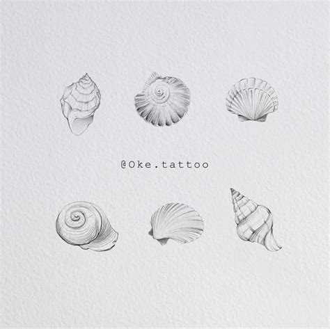 Shell Tattoo Idea Reference Tatuaggi Conchiglia Idee Per Tatuaggi Tatuaggio Di Delfini