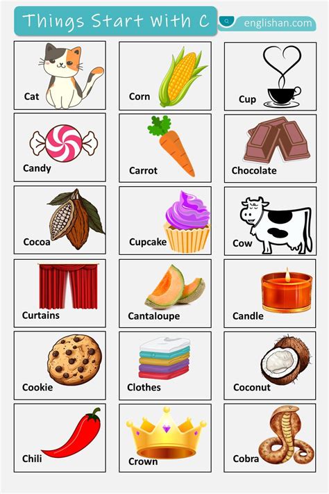 Things Start With C With Pictures Englishan