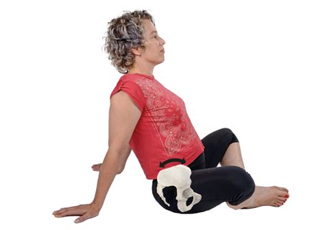 Three Ps Your 14 Day Pelvis