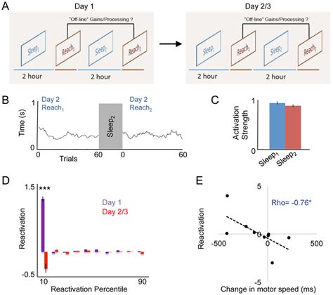 Lack Of Increased Reactivation With Continued Motor Learning A We Download Scientific
