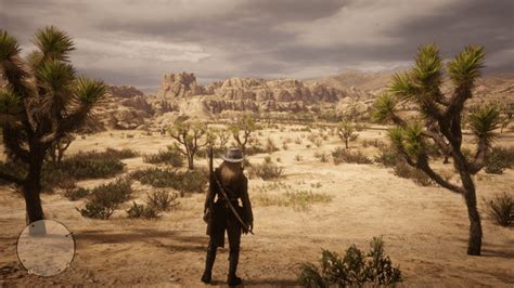 Anyone Else Getting Blurry Terrain After The Update Rpcreddead