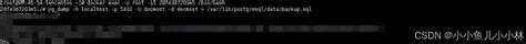 【图文实操教程】如何备份docker容器中的postgresql数据docker Postgresql 备份 Csdn博客