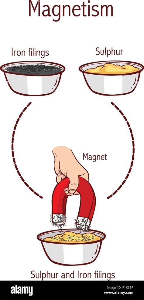 Separation Of Sulphur And Iron Filings Using A Magnet Stock Vector