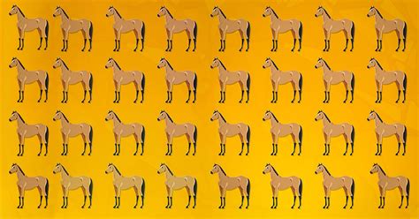 Головоломка с конем разгадка на самом видном месте