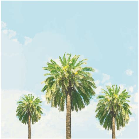 600개 이상 무료 야자수 및 자연 일러스트레이션 Pixabay