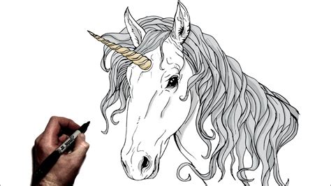 How To Draw A Realistic Unicorn Step By Step For Beginners