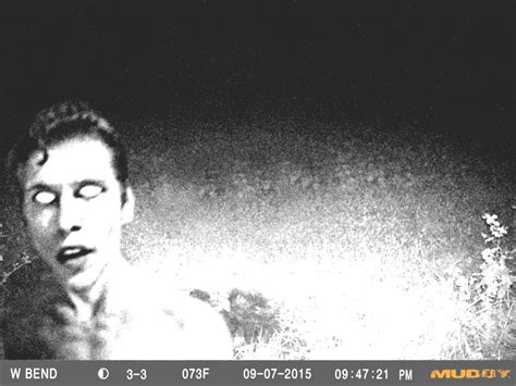 I Finally Caught A Wild Jerma On My Trail Cam R Jerma985