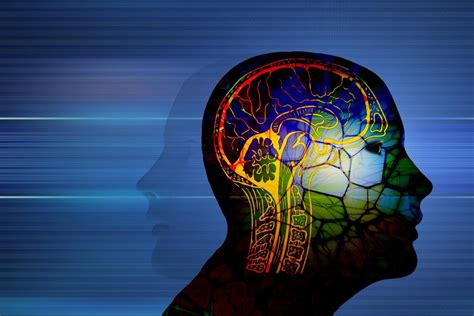 decoding musical structure theory computation and neuroscience