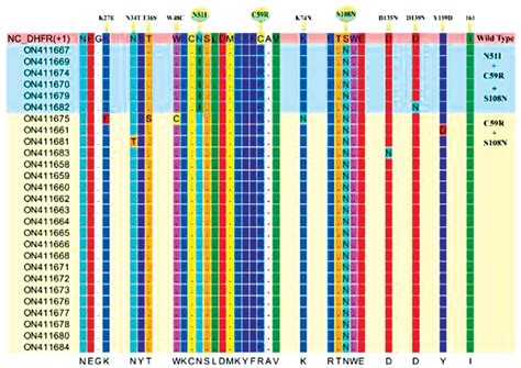 The Results Of Alignment Of The Protein Sequences By Clc Genomic Work