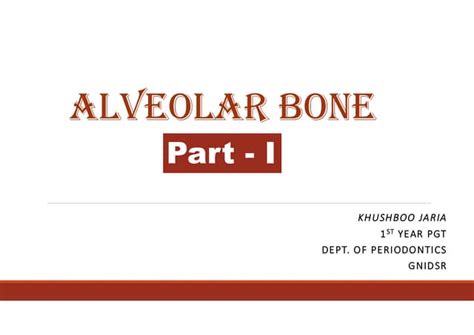 Alveolar Bone Part 1 Definition Classification Development