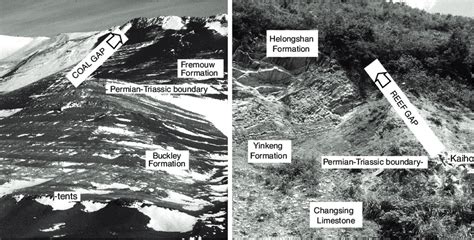 Permian Triassic Boundary Sections Showing Strata A Within The Global