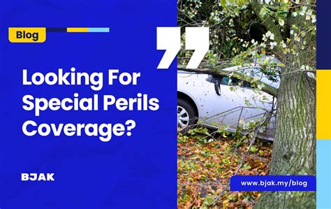 Special Form Coverage Perils At Sherlyn Weyer Blog