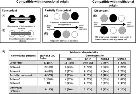 Concordance Patterns Found For Each Molecular Characteristic Analyzed