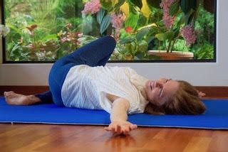 Hip Mobility And Pelvic Stability Video Maui Somatics