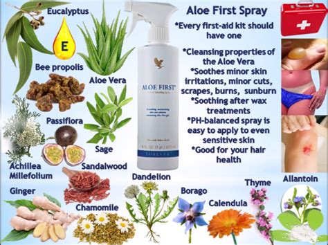 Aloe First® Is A Perfect Addition To Your First Aid Kit Or Medicine
