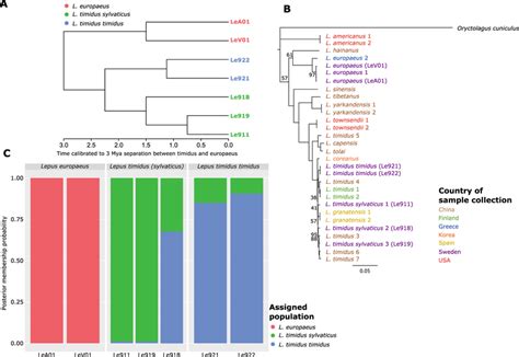 A Ultrametricised Phylogenetic Tree Based On The Genome Wide Single Download Scientific