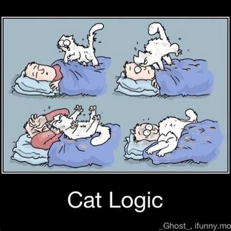 Funny Logic Quotes QuotesGram