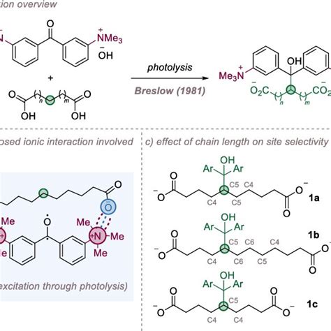 Robert J Phippss Research Works University Of Cambridge Cambridge