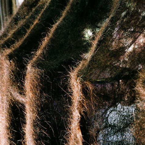 Human Material Loop Sets Out To Commercialise Textiles Made From Hair