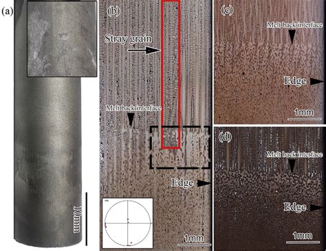 Macrostructure A And Longitudinal Microstructure B C And D Of