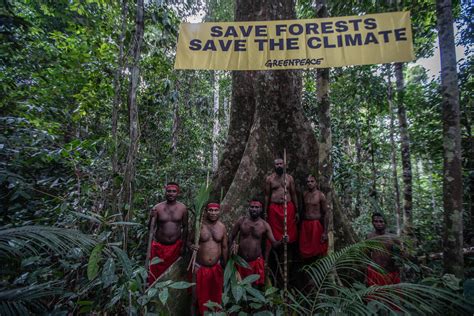 How Indigenous Peoples And Local Communities Can Protect And Restore
