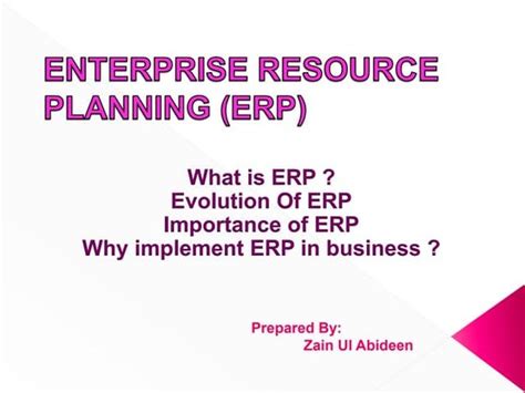 Erp Implementation Life Cycle Ppt