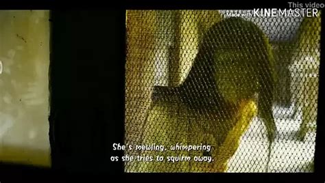 Mirzapur All Sex Scenes Kissing Big Cock Porn XHamster