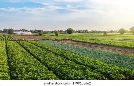 Farmland Landscape Photos Images And Pictures Shutterstock