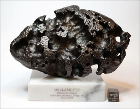 Willamette Meteorite