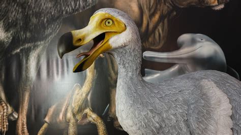 After Being Extinct For Hundreds Of Years Scientists Are Resurrecting