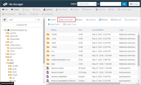 How To Migrate Emails From CPanel To CPanel In 2024 Ozitech