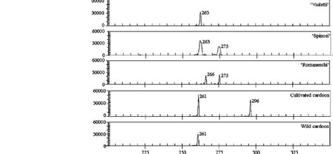 Example Of Electropherograms Showing Different Alleles At The Locus