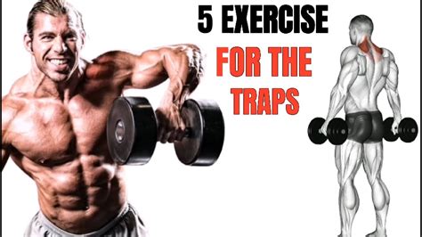 5 Best Exercises For Traps Youtube