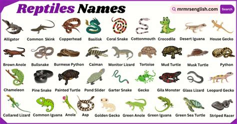 Reptiles Names In Tamil And English