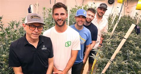 Steve Cahalan Sensi Co Launches Thc Infused Seltzer