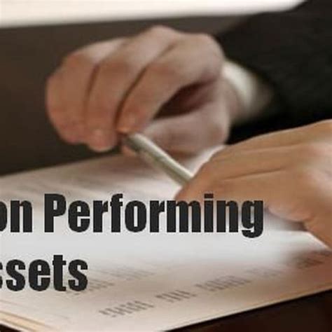 Free Non Performing Assets Essay Examples And Topic Ideas