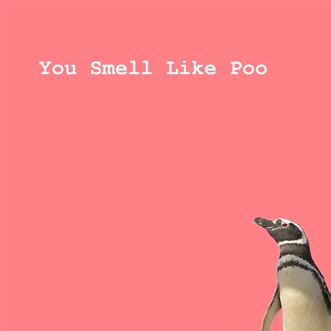 ‎apple Music 上the Jackass Penguin Show的专辑《you Smell Like Poo Single》