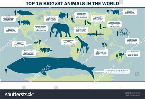 Largest Animals Ever Chart