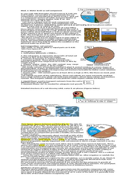 Understanding The Three Phases Of Soil An In Depth Examination Of Soil