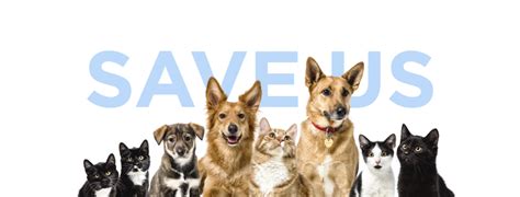 Интенсивный Pr животных правильный выбор Могилев 🚙 доставка по договоренности 👒Шикарная