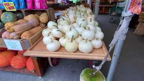 Assorted Halloween Candy Jars With Candy Corn And Gummies Stock Footage Video Of Candy