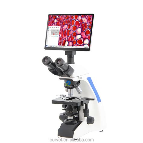 Eur Vet Great Price Vet Microscope With Screen Veterinary Equipment For