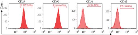 Isolation And Identification Of BMSCs And BMSC EVs A BMSC P Download Scientific Diagram