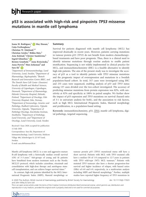 Pdf P53 Is Associated With High‐risk And Pinpoints Tp53 Missense